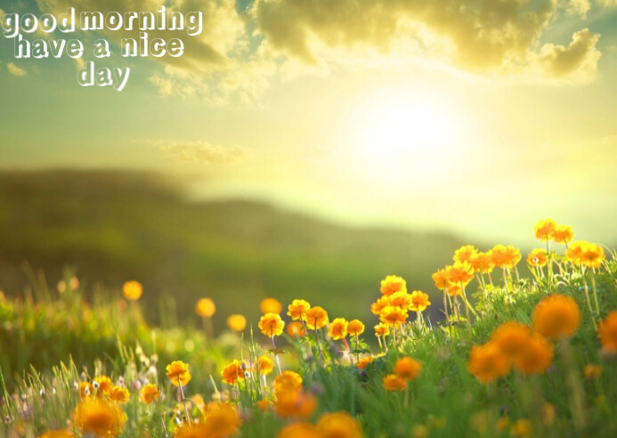 good morning post Template | PosterMyWall