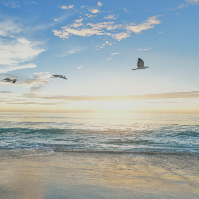 Good Morning Post Template | PosterMyWall