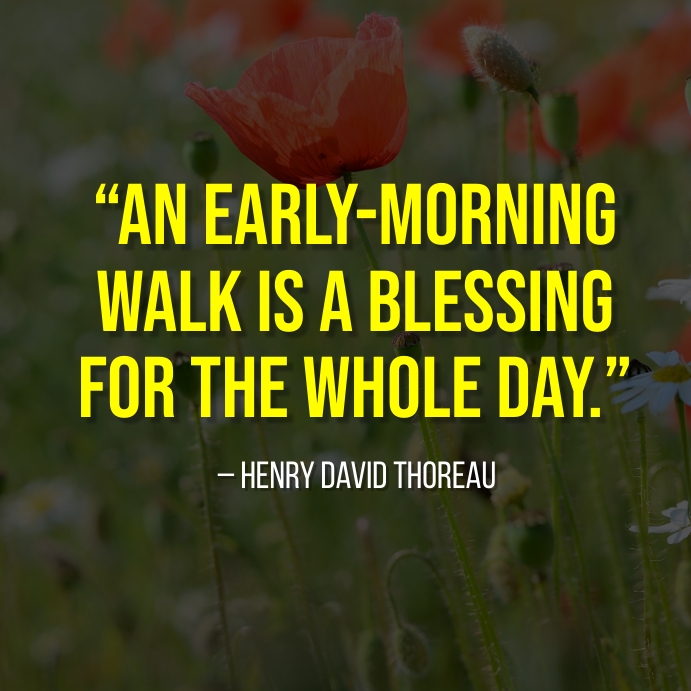 Good Morning Quote Message | Good Morning Template | PosterMyWall