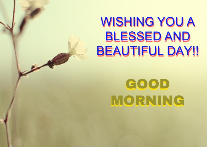 Plantilla de GOOD MORNING QUOTE TEMPLATE | PosterMyWall