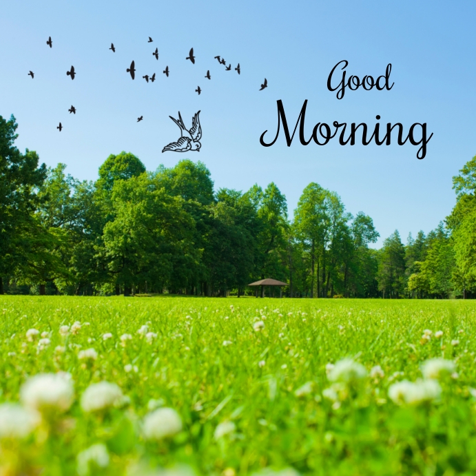 Good Morning Story Template | PosterMyWall