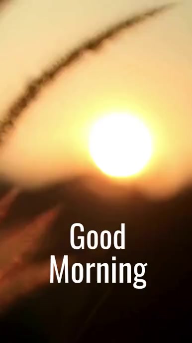 Copy of Good Morning Template | PosterMyWall