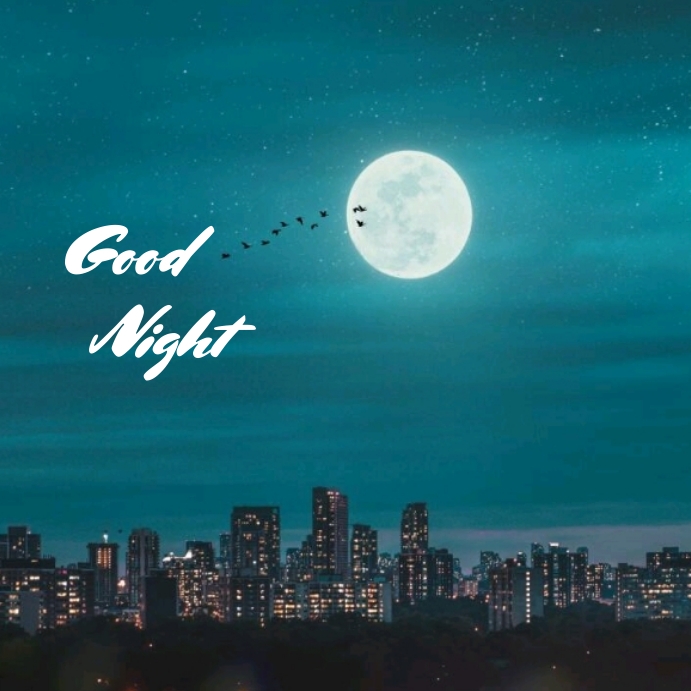Copy of Good Night Instagram post | PosterMyWall