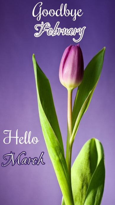 Copy of goodbye february, hello march, welcome march | PosterMyWall