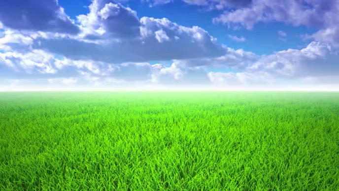 grass video Template | PosterMyWall