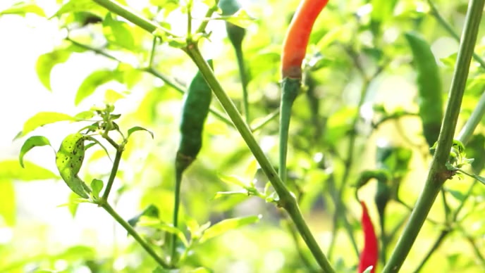 This Design Template is not available | PosterMyWall