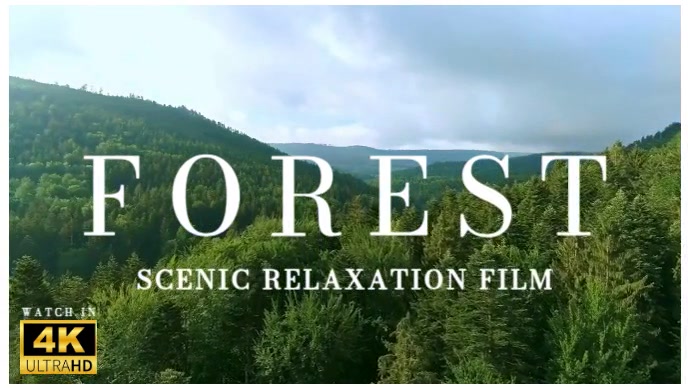 Green Floral Forest Scenic Scene Youtube Thumbnail Template | PosterMyWall