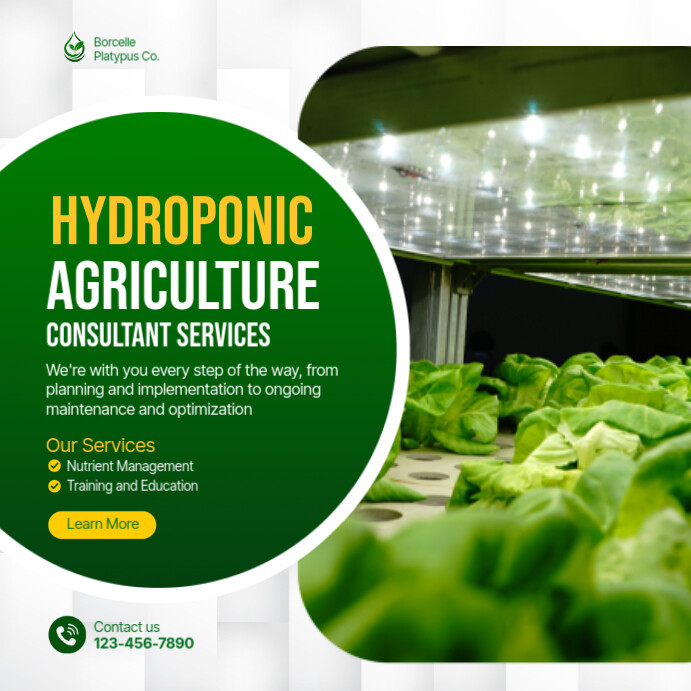 Copy of Green Floral Hydroponic And Agriculture Consultant Service ...