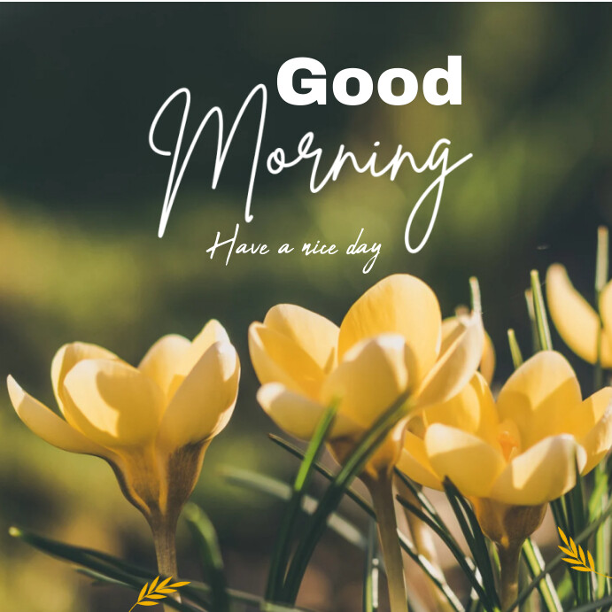 Green Joyful Morning Sunshine Instagram Post Template | PosterMyWall