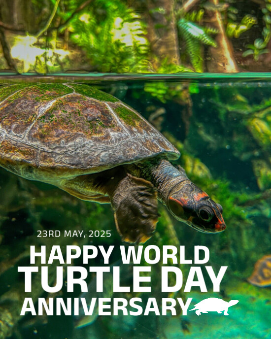 Copy of Green Joyful World Turtle Day Instagram Portrait | PosterMyWall