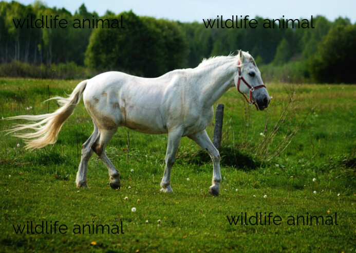 Green Maximalist Wildlife Animal Horse Postcard Template | PosterMyWall
