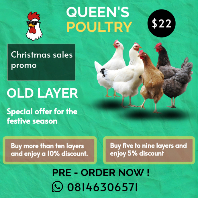 Green Modern & Minimal Christmas Chicken Sale Flyer Poultry Farm Old ...