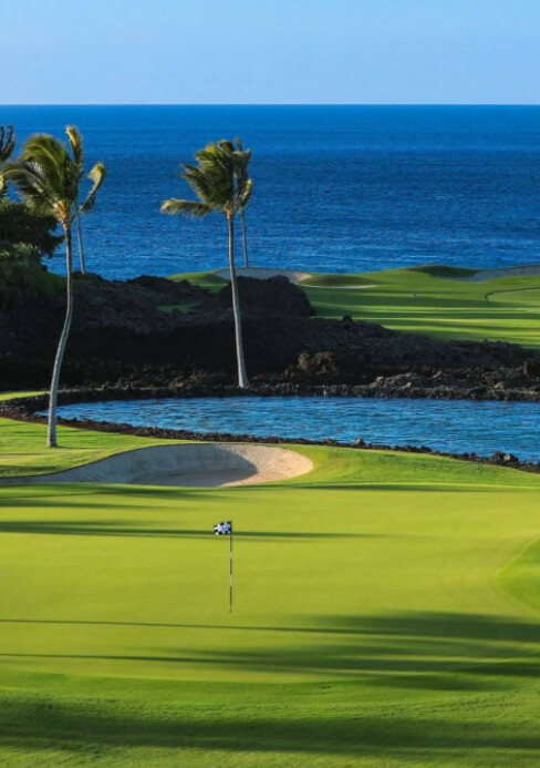 Plantilla de Green Modern & Minimal Golf Course Design Tournament ...