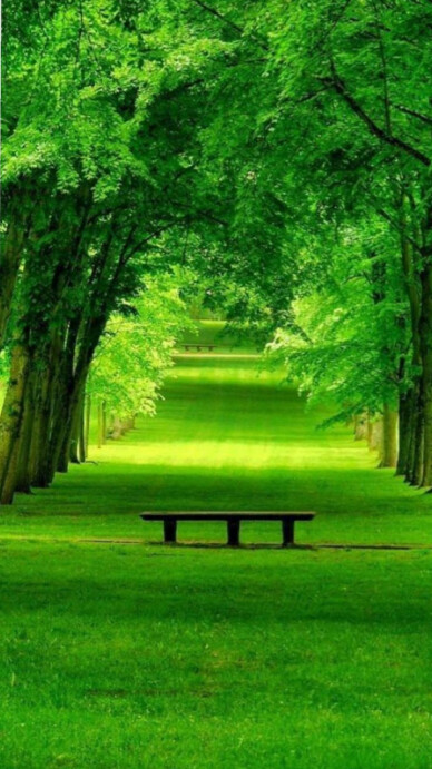 Green serenity path Template | PosterMyWall