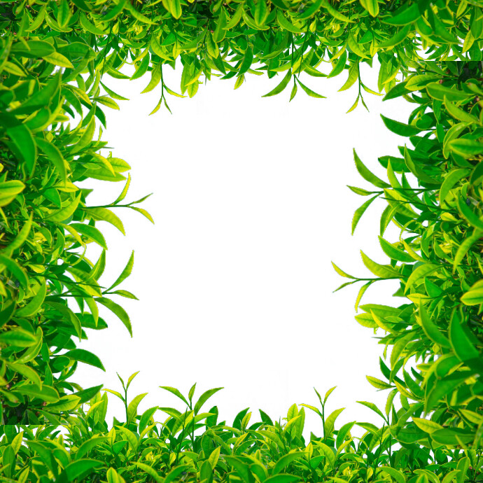 Plantilla de Green tea background | PosterMyWall