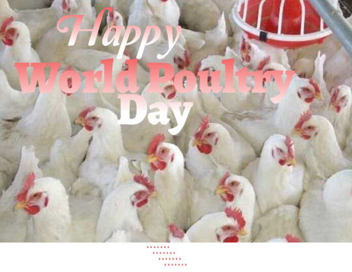 Copy of Grey Joyful Happy World Poultry Day Flyer (us Letter ...