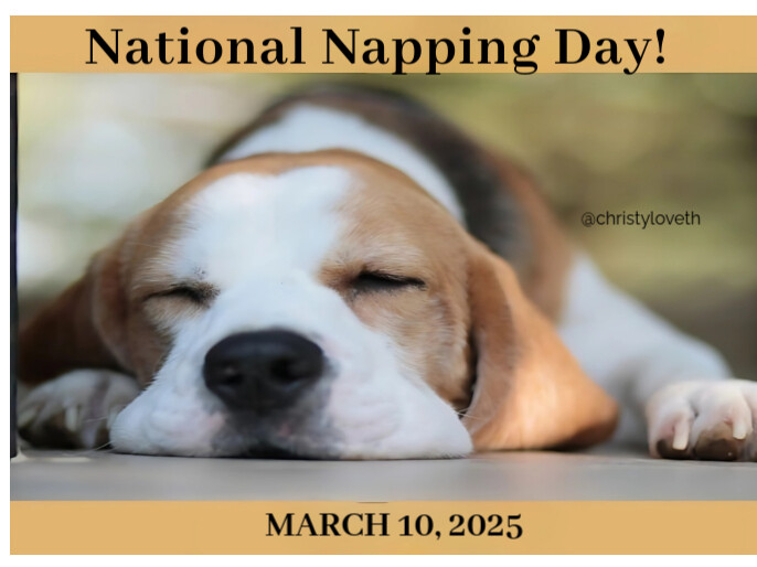 Grey List-based National Napping Day Presentation Template | PosterMyWall