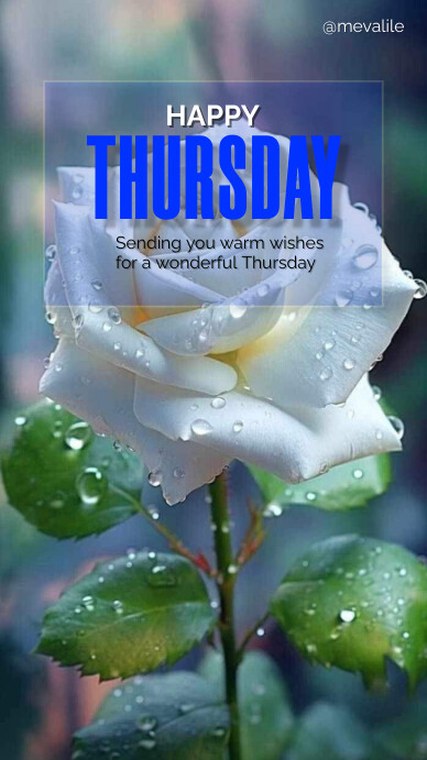 Grey Maximalist Happy Thursday Digital Displ Template | PosterMyWall