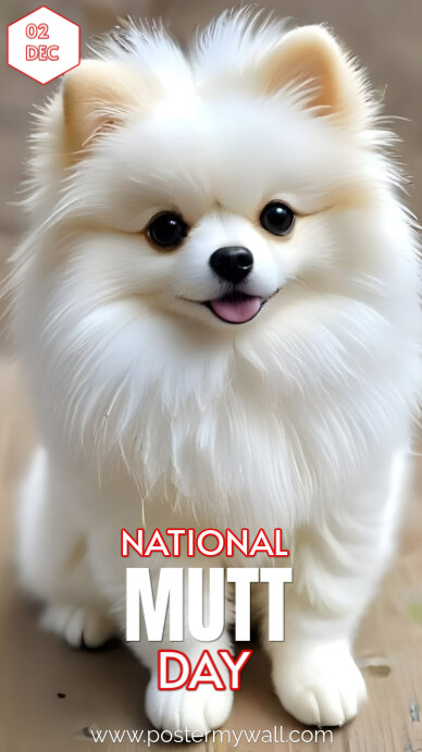 Copy of Grey Maximalist Mutt Flyer Whatsapp Status | PosterMyWall