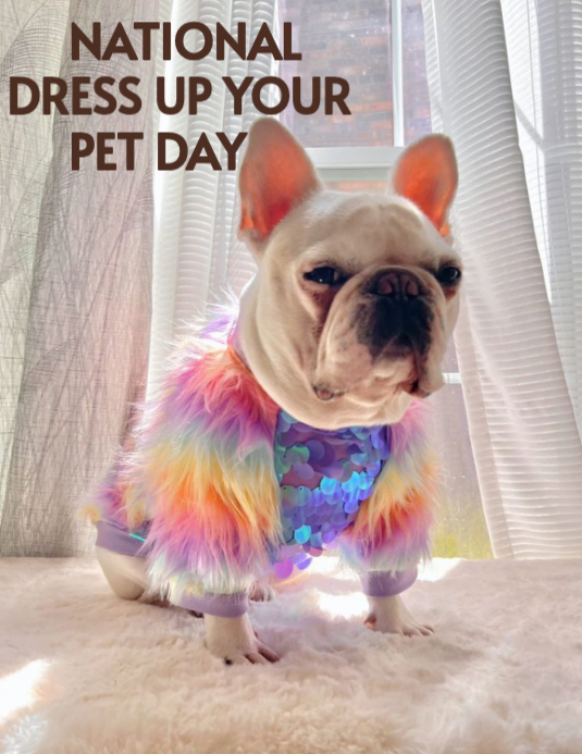 Grey Maximalist National Dress Up Your Pet Day Flyer (us Letter ...