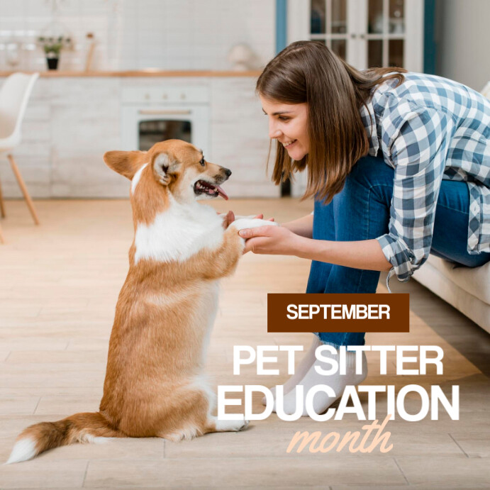 Grey Modern & Minimal Pet Sitter Education Month Instagram Post ...