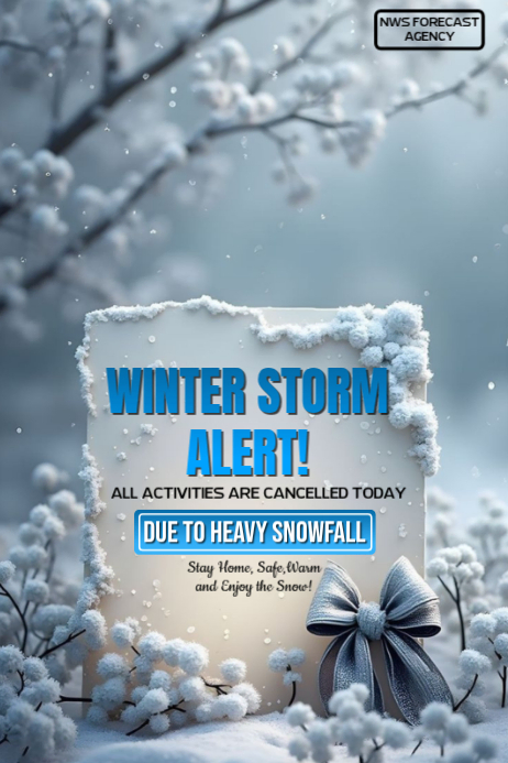 Copy of Grey Modern & Minimal Winter Storm Announcement Template Poster ...