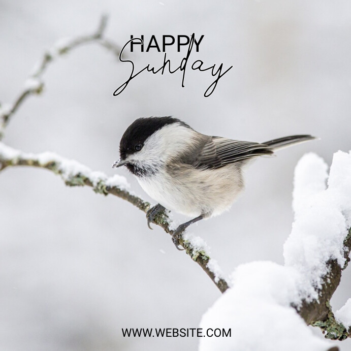 Grey Modern Happy Sunday (Instagram Post) Template | PosterMyWall