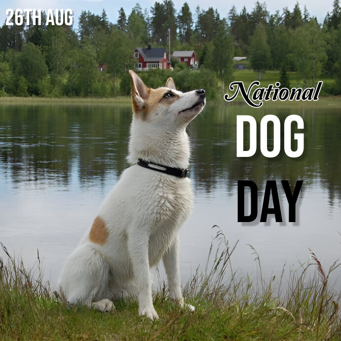 Grey National Dog Day Instagram Post Template | PosterMyWall