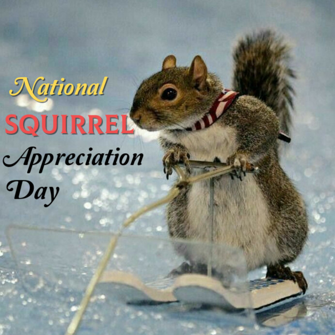 Grey Pastel National Squirrel Appreciation Day Template Instagram Post | PosterMyWall
