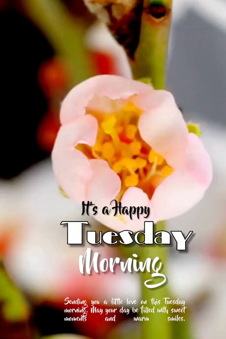 Grey Pastel Tuesday Morning Banner 4' × 6' Template | PosterMyWall