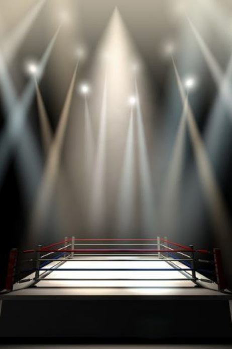 Grey Professional Boxing Event Poster Template | PosterMyWall