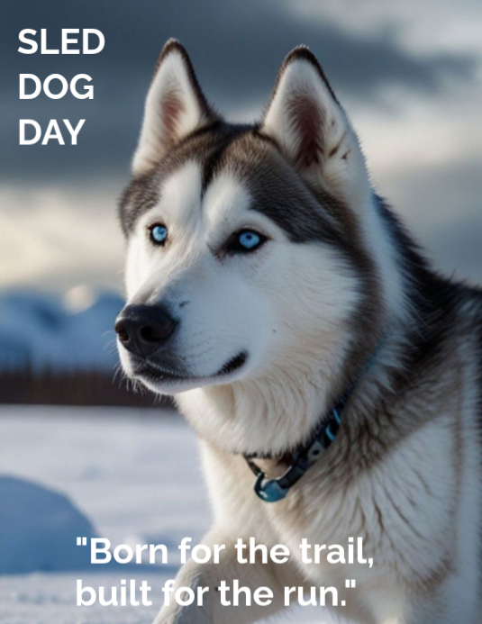 Grey Sled Dog Event Flyer Template | PosterMyWall