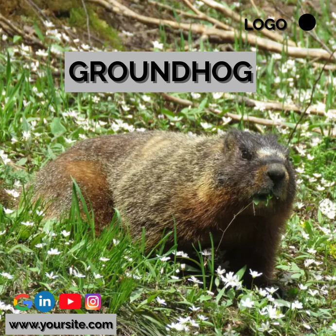 Groundhog day flyer template | PosterMyWall