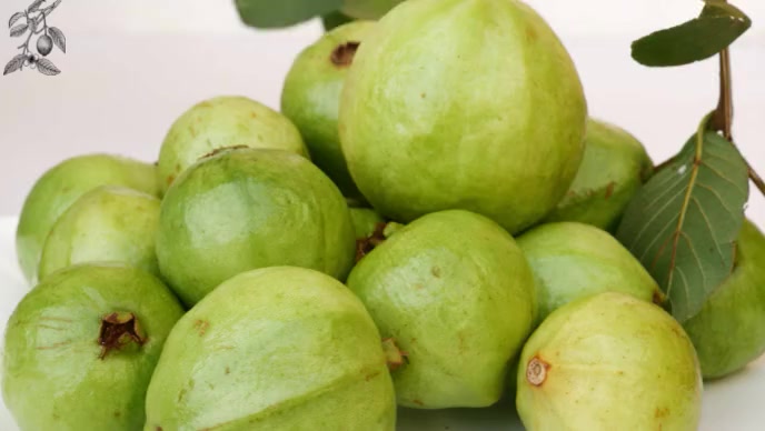 guava fruits Template | PosterMyWall