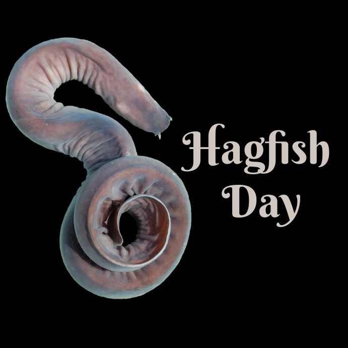 Copy of hagfish day | PosterMyWall