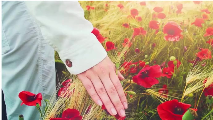 Copy of Hand over beautiful flowers | PosterMyWall