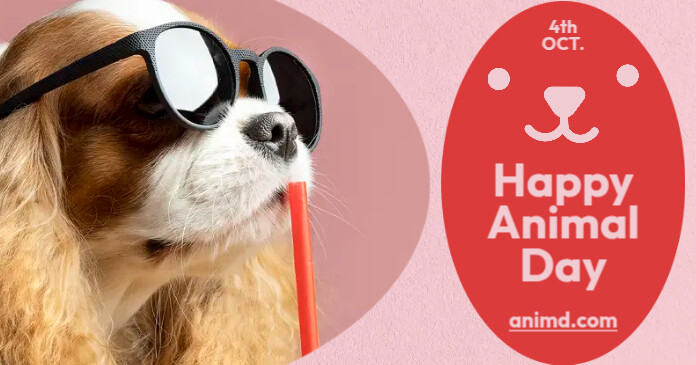 Copy of Happy Animal Day Banner Template | PosterMyWall