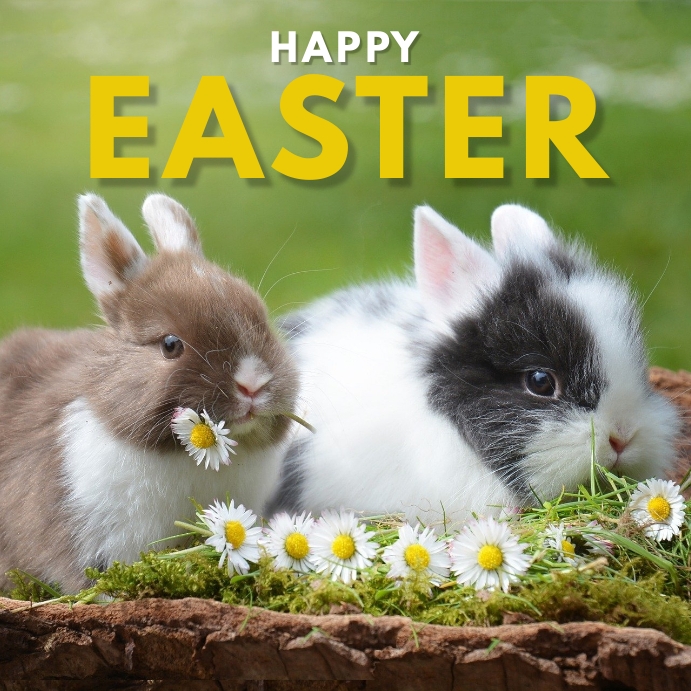 Happy Easter Instagram Post Template | PosterMyWall