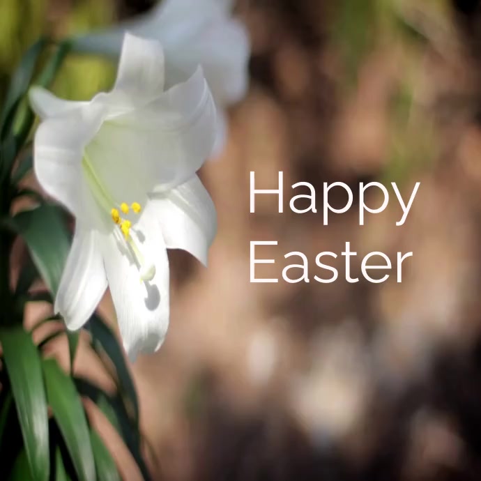 Happy Easter video tampelte Template | PosterMyWall
