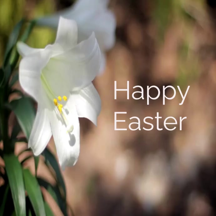 Happy Easter video tampelte Template | PosterMyWall