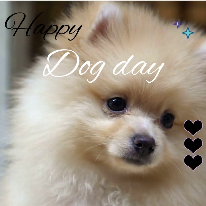Happy International Dog Day Instagram Post Template | PosterMyWall