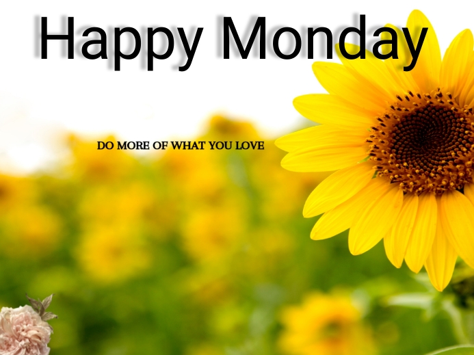 Happy Monday Template | PosterMyWall