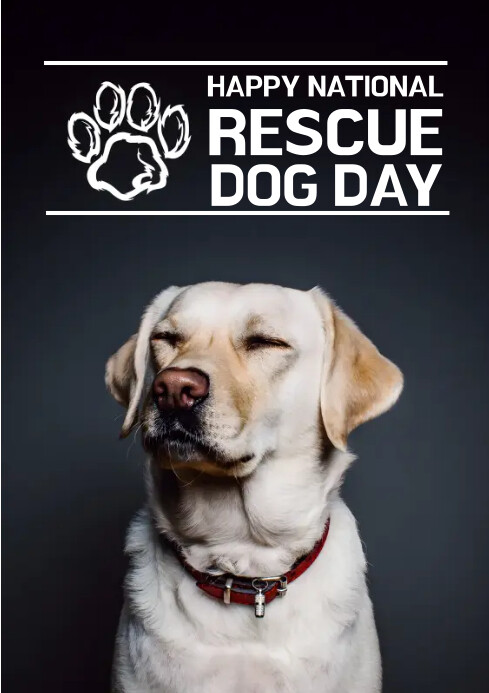 Happy National Rescue Dog Day Template | PosterMyWall