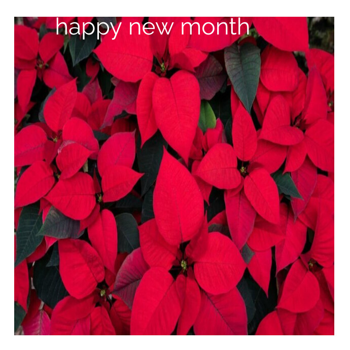 Happy New Month Logo Design Tempmate Template | PosterMyWall
