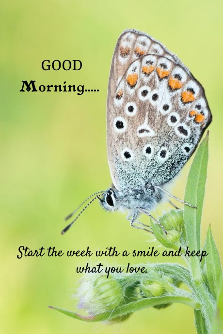 Happy New Week Template | PosterMyWall