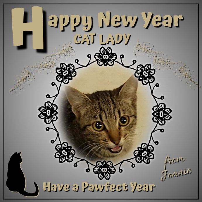 Happy New year Cat Lady Template | PosterMyWall
