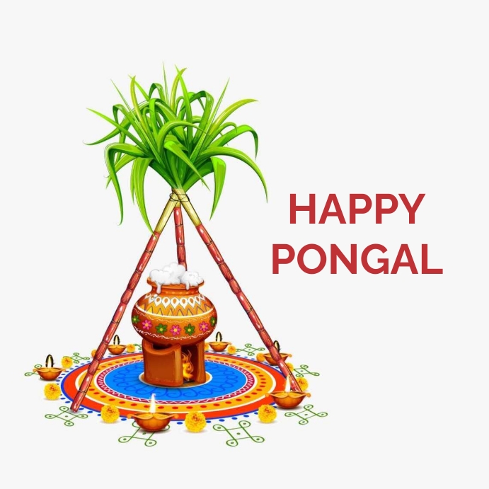 happy pongal Template | PosterMyWall
