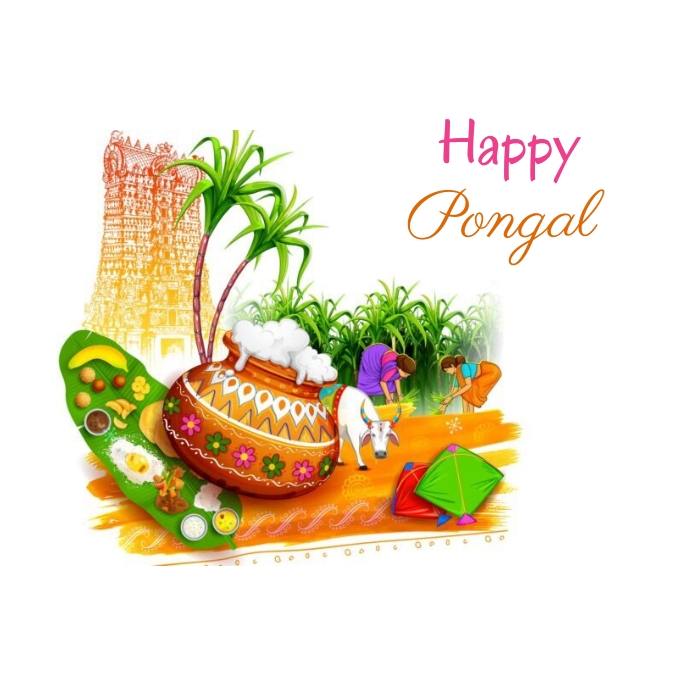 happy pongal Template | PosterMyWall