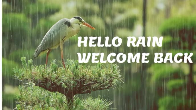 Hello rain welcome back rainy day quotes video template | PosterMyWall