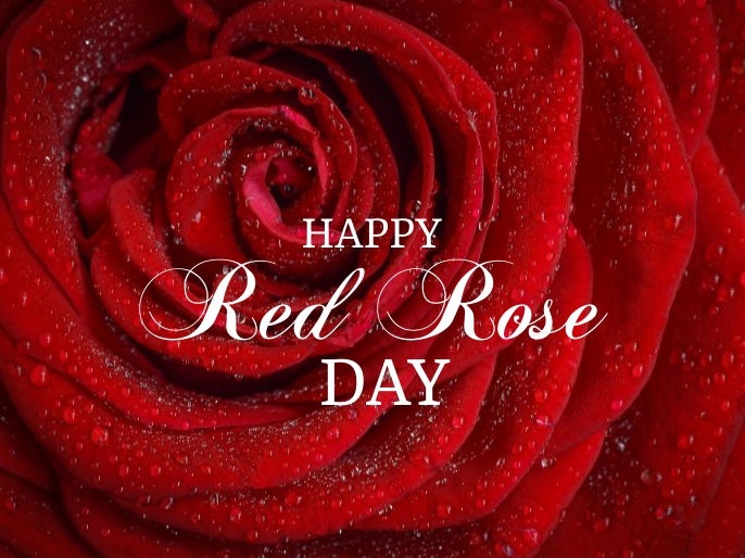 Copy of Happy red rose day | PosterMyWall